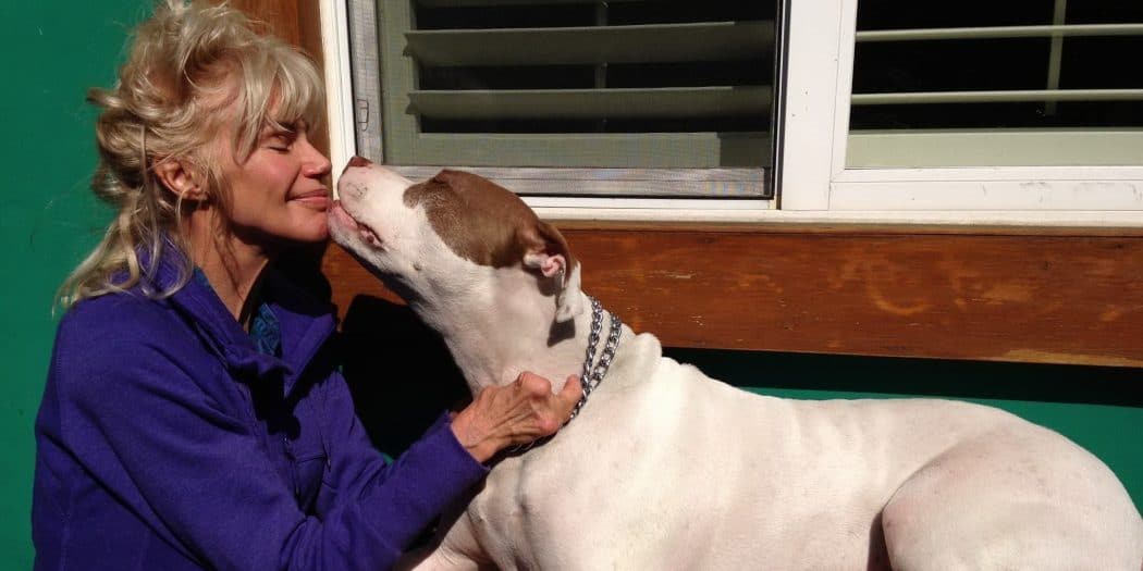 Bree Walker Net Worth - Net Worth Post