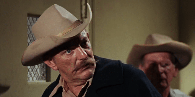 Denver Pyle Net Worth - Net Worth Post