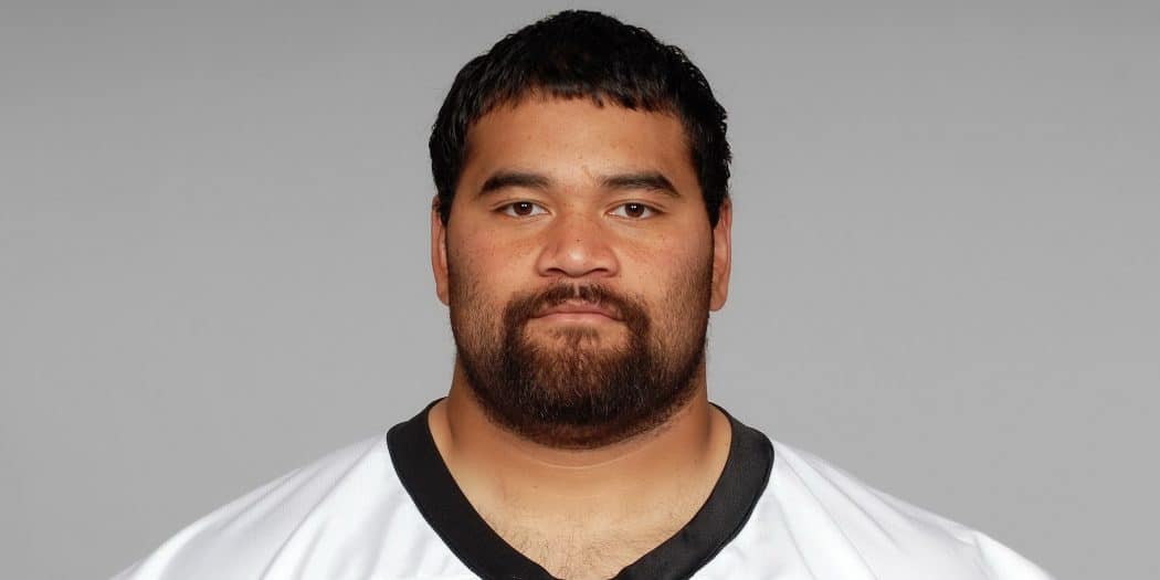 Haloti Ngata Net Worth - Net Worth Post