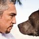 Cesar Millan's Son Calvin Millan Wiki, Age, Girlfriend, Net Worth - Net ...