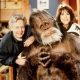 Is Molly Cheek still alive? What is she doing now? Net Worth, Bio - Net ...